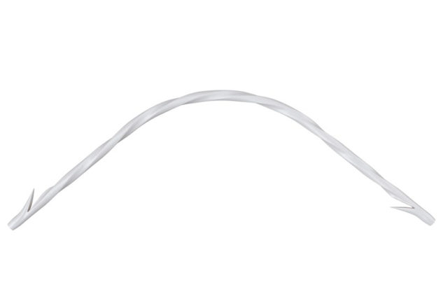 archimedes-biodegradablebiliary-stent-gets-ce-mark