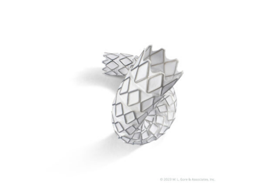 Gore receives CE mark for lower profile Viabahn VBX endoprosthesis ...