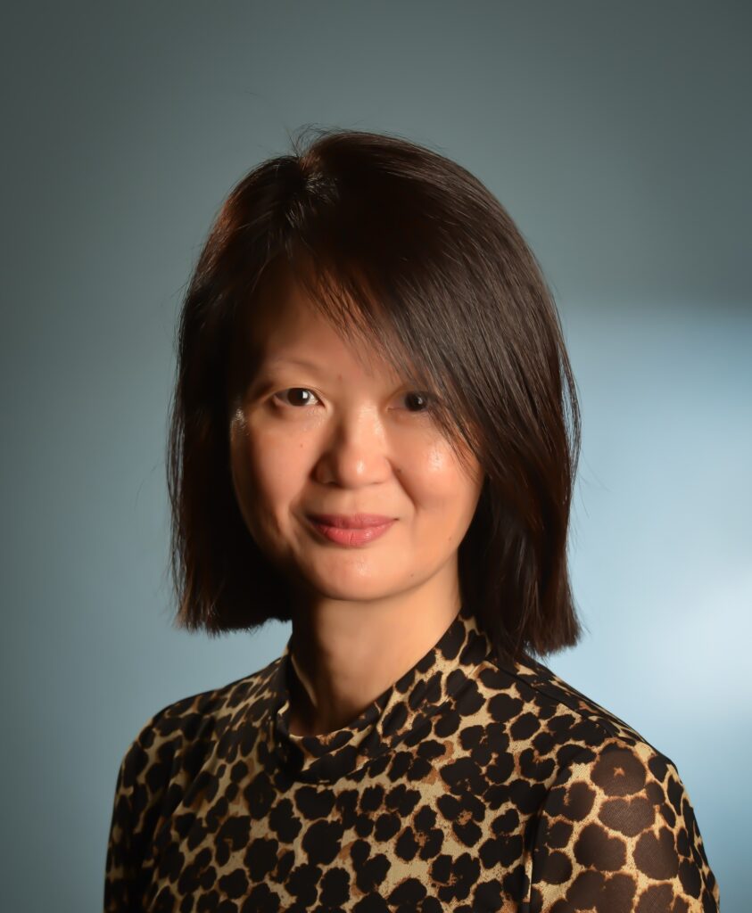 First-in-human CAIN trial demonstrates feasibility of histotripsy for ...