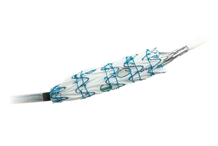 Terumo Aortic announces launch of Fenestrated Treo pivotal IDE study in ...